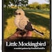 Little Mockingbird Written Crochet Pattern Realistic Bird - Etsy