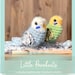 Little Parakeets Written Crochet Pattern | Realistic Budgie Crochet ...