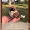 Red-bellied Woodpecker Written Crochet Pattern | Realistic Garden Bird ...