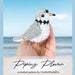 Piping Plover Written Crochet Pattern | Realistic Crochet Amigurumi ...