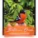 Baltimore Oriole Written Crochet Pattern | Realistic Garden Bird ...