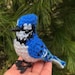 Beautiful Blue Jay Written Crochet Pattern | Realistic Bird Crochet ...