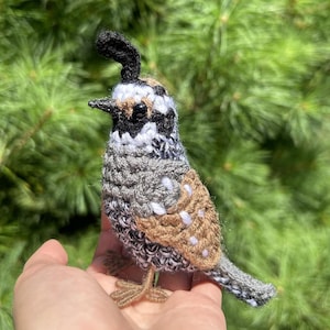 Crochet California Quail | Realistic Bird Crochet Amigurumi | Crochet ...
