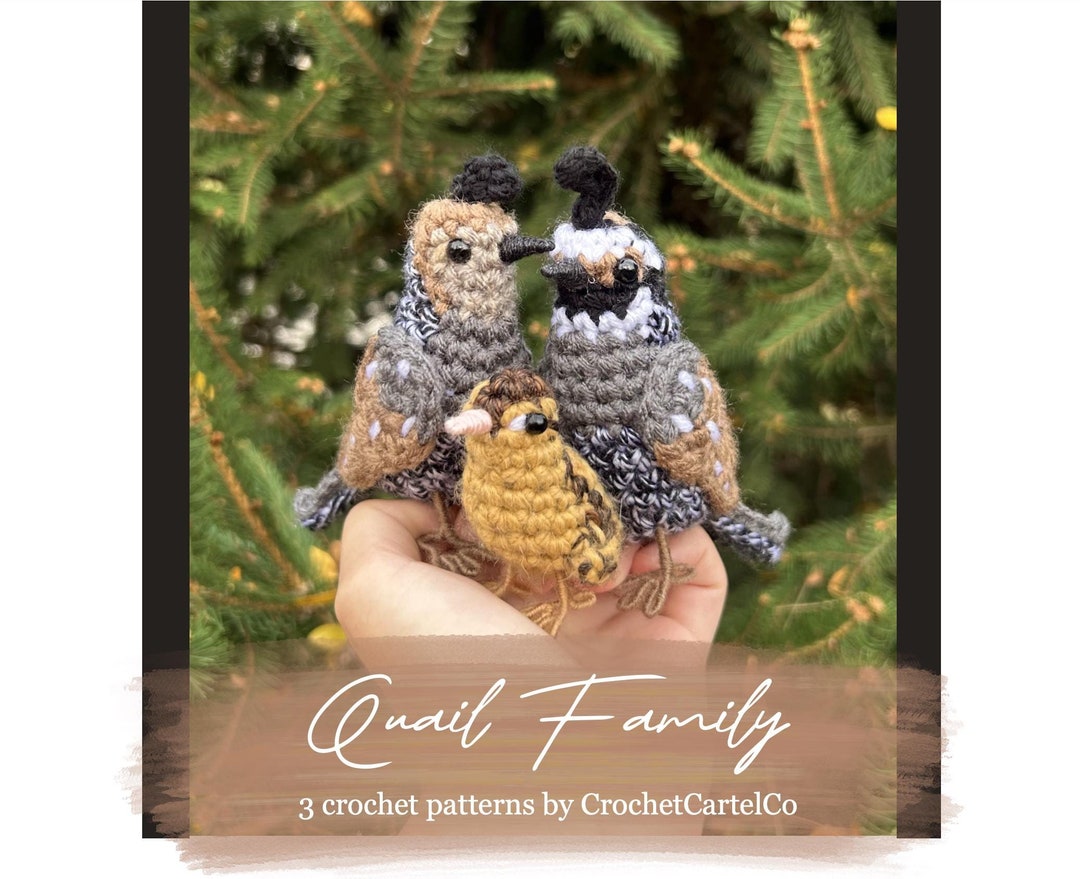 Quail Family Written Crochet Pattern Bundle | Crochet Bird Amigurumi ...