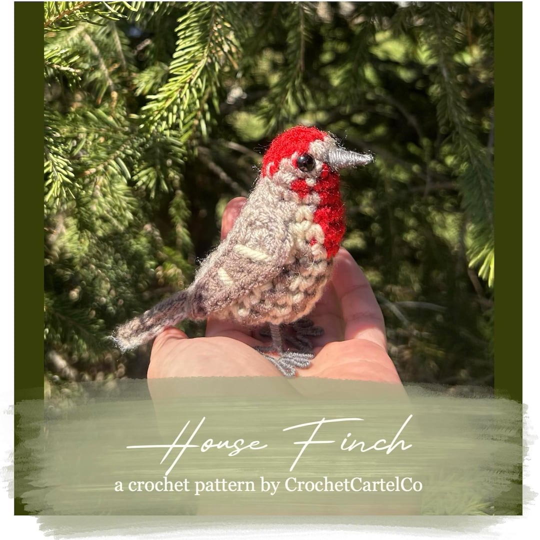 House Finch Written Crochet Pattern | Crochet Bird Amigurumi | Finch ...