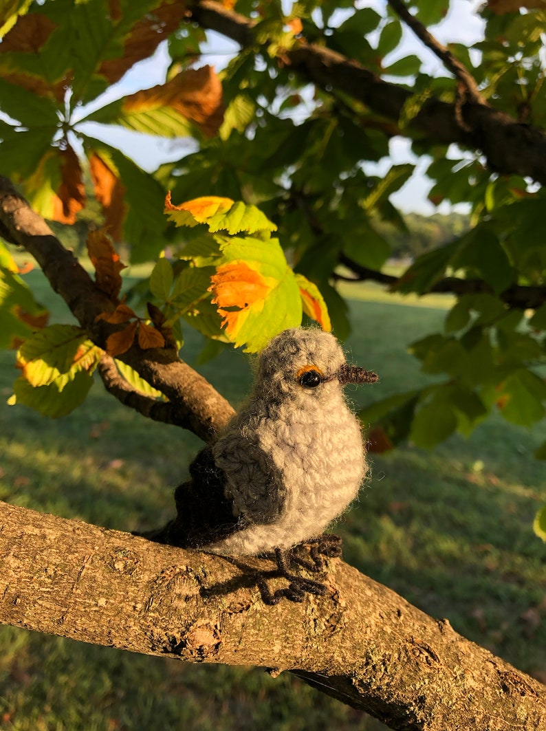 Crochet Little Mockingbird | Bird Crochet Amigurumi | Crochet Plush Toy ...