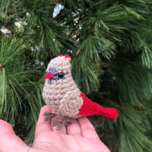 Crochet Female Cardinal | Crochet Amigurumi | Crochet Plush Toy Figure ...