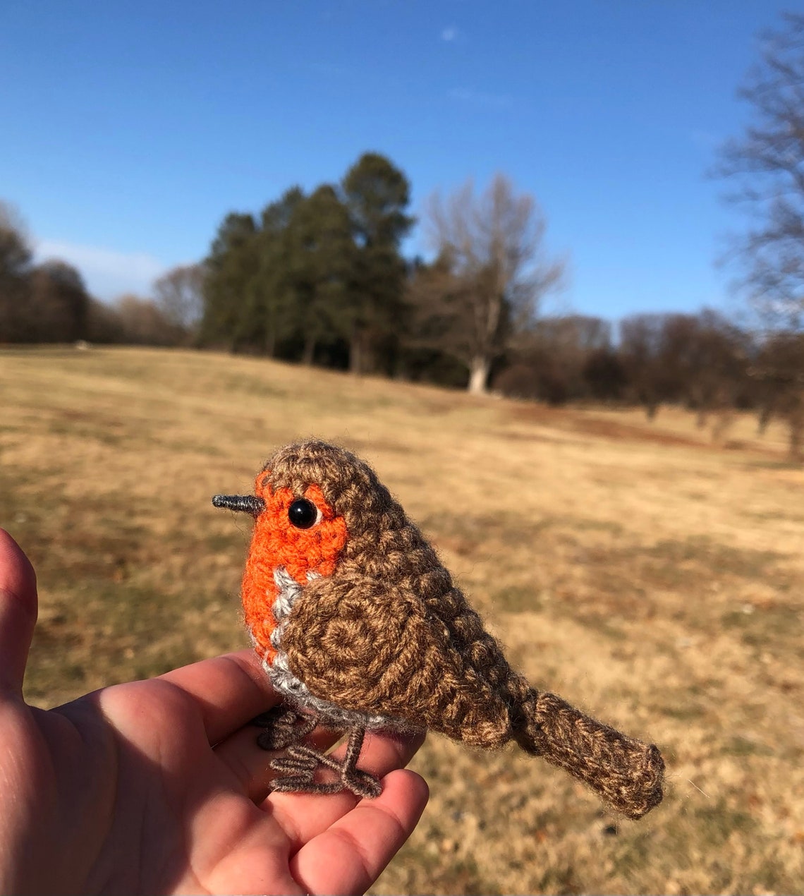 Crochet Little European Robin Crochet Amigurumi Crochet - Etsy