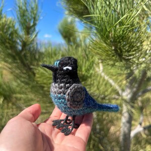 Steller's Jay Written Crochet Pattern | Realistic Bird Crochet Pattern ...