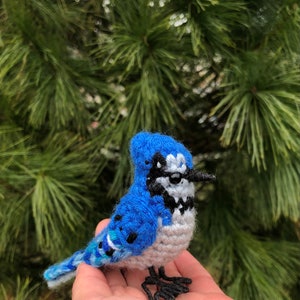 Beautiful Blue Jay Written Crochet Pattern | Realistic Bird Crochet ...