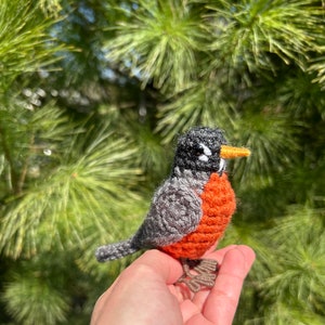 Crochet American Robin | Realistic Garden Bird | Crochet Amigurumi ...