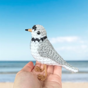 Piping Plover Written Crochet Pattern | Realistic Crochet Amigurumi ...