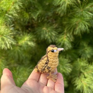 Quail Chick Written Crochet Pattern | Crochet Bird Amigurumi | Crochet ...