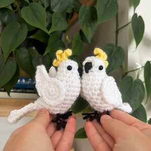 Little Cockatoos Written Crochet Pattern | Realistic Bird Crochet ...