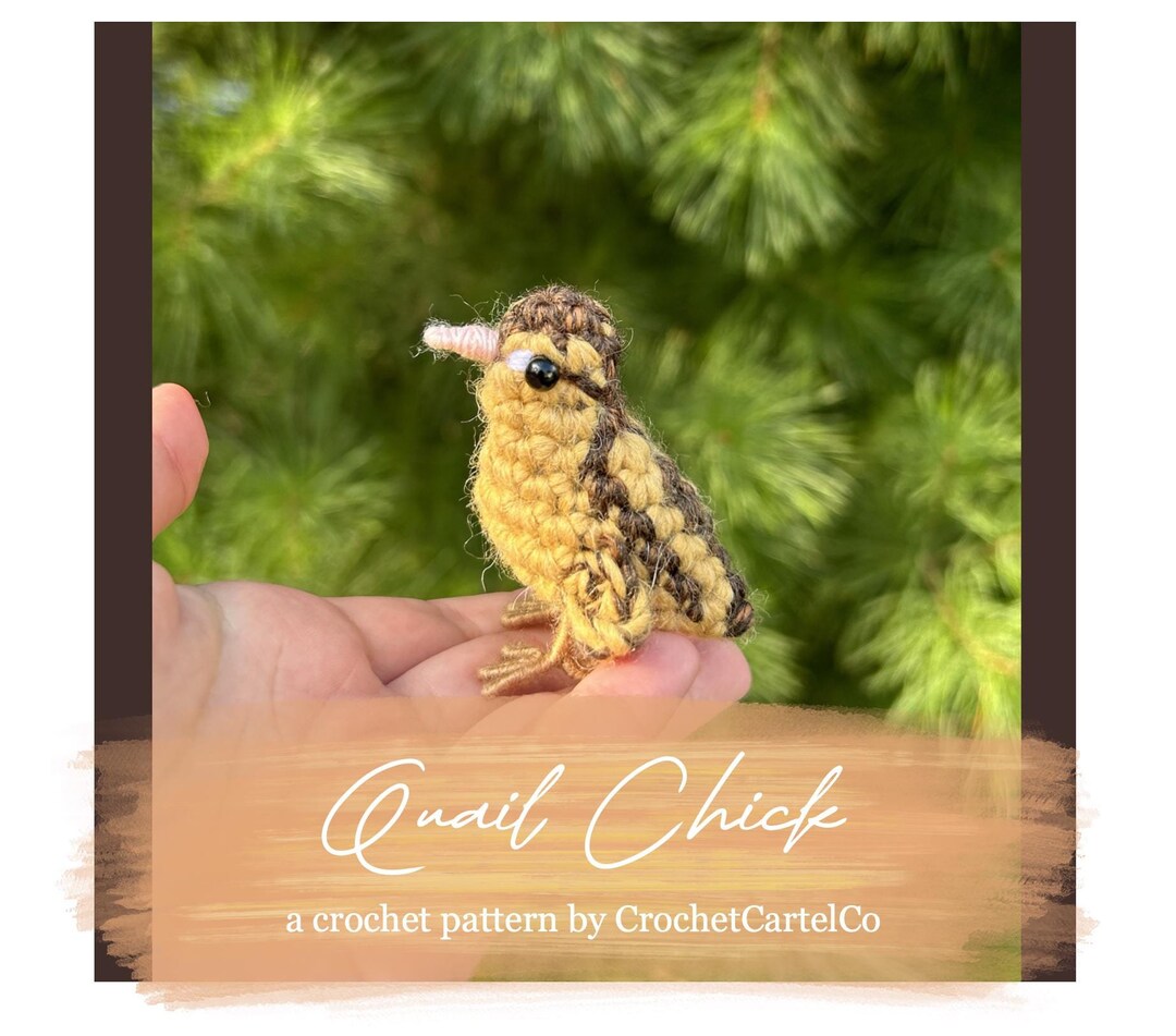 Quail Chick Written Crochet Pattern | Crochet Bird Amigurumi | Crochet ...