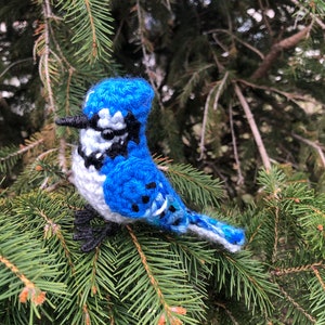 Beautiful Blue Jay Written Crochet Pattern | Realistic Bird Crochet ...