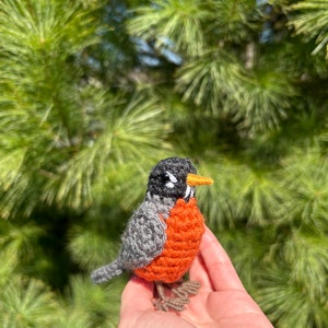 Crochet American Robin | Realistic Garden Bird | Crochet Amigurumi ...