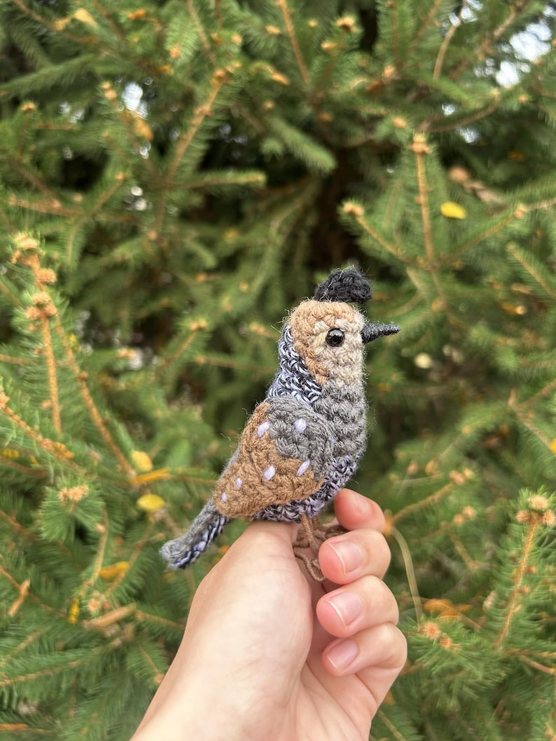 Female California Quail Written Crochet Pattern | Crochet Bird ...