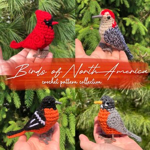 Birds of North America Crochet Pattern Bundle | 4 Realistic Crochet ...