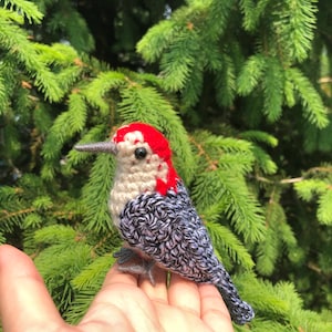Red-bellied Woodpecker Written Crochet Pattern | Realistic Garden Bird ...