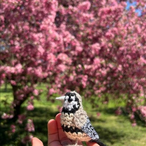 Owl Finch Written Crochet Pattern | Crochet Bird Amigurumi | Finch ...