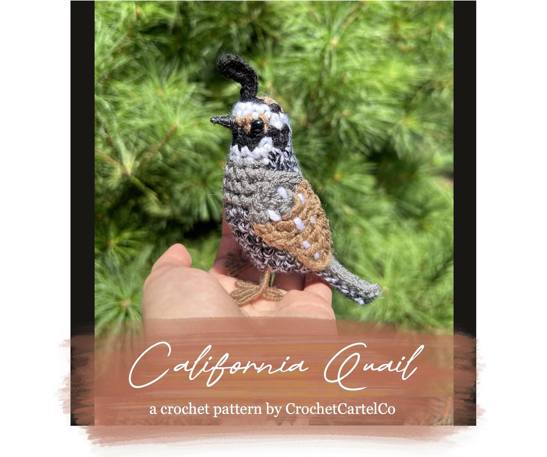 California Quail Written Crochet Pattern | Crochet Bird Amigurumi | Crochet Quail Pattern ...