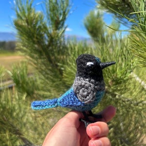 Steller's Jay Written Crochet Pattern | Realistic Bird Crochet Pattern ...