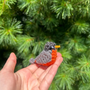 Tiny Birdies Crochet Robin Written Crochet Pattern | Garden Bird ...