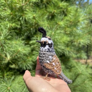 California Quail Written Crochet Pattern | Crochet Bird Amigurumi ...