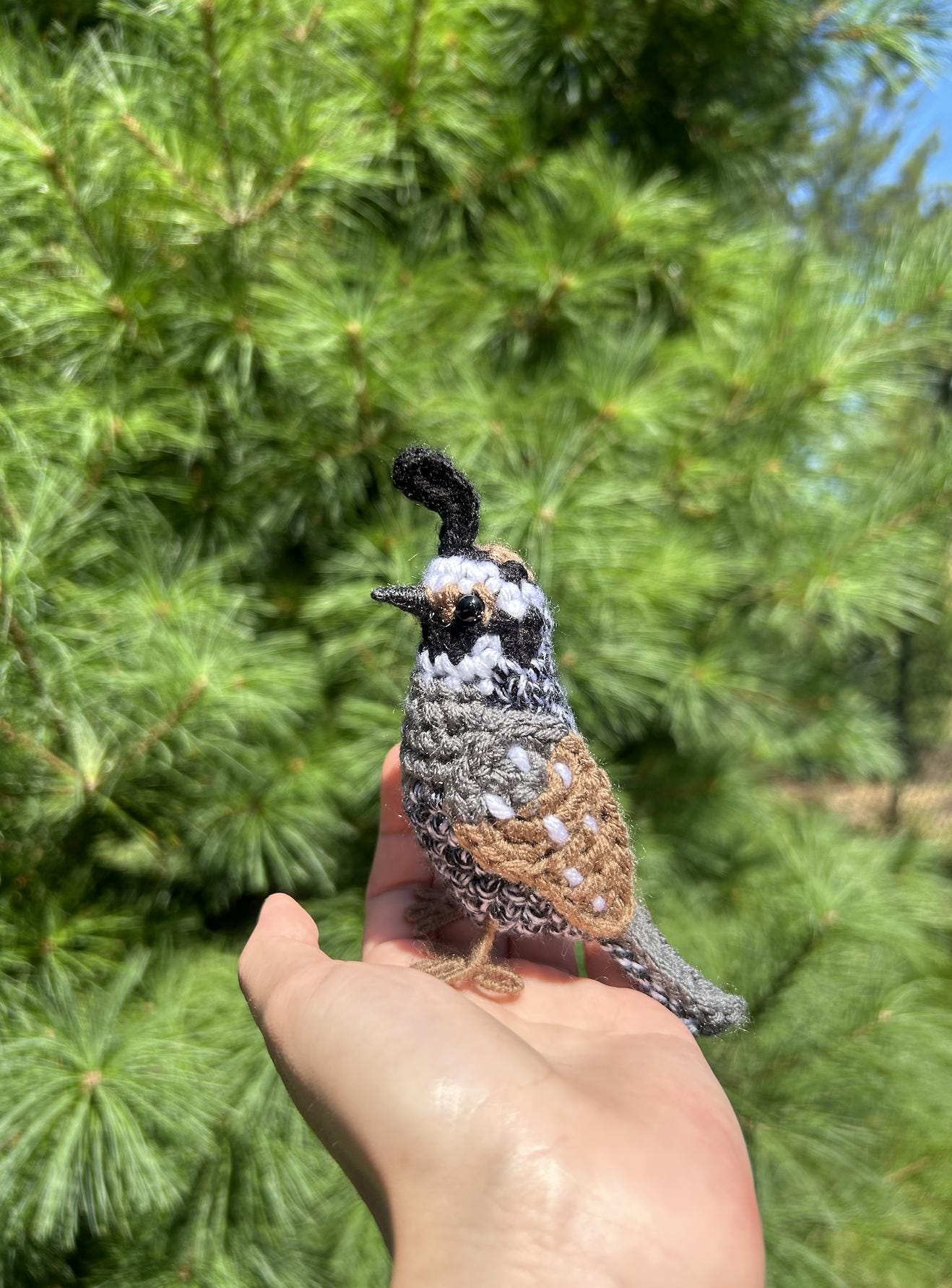 California Quail Written Crochet Pattern | Crochet Bird Amigurumi ...