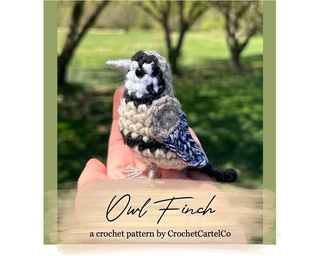 Owl Finch Written Crochet Pattern | Crochet Bird Amigurumi | Finch ...