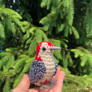 Red-bellied Woodpecker Written Crochet Pattern | Realistic Garden Bird ...