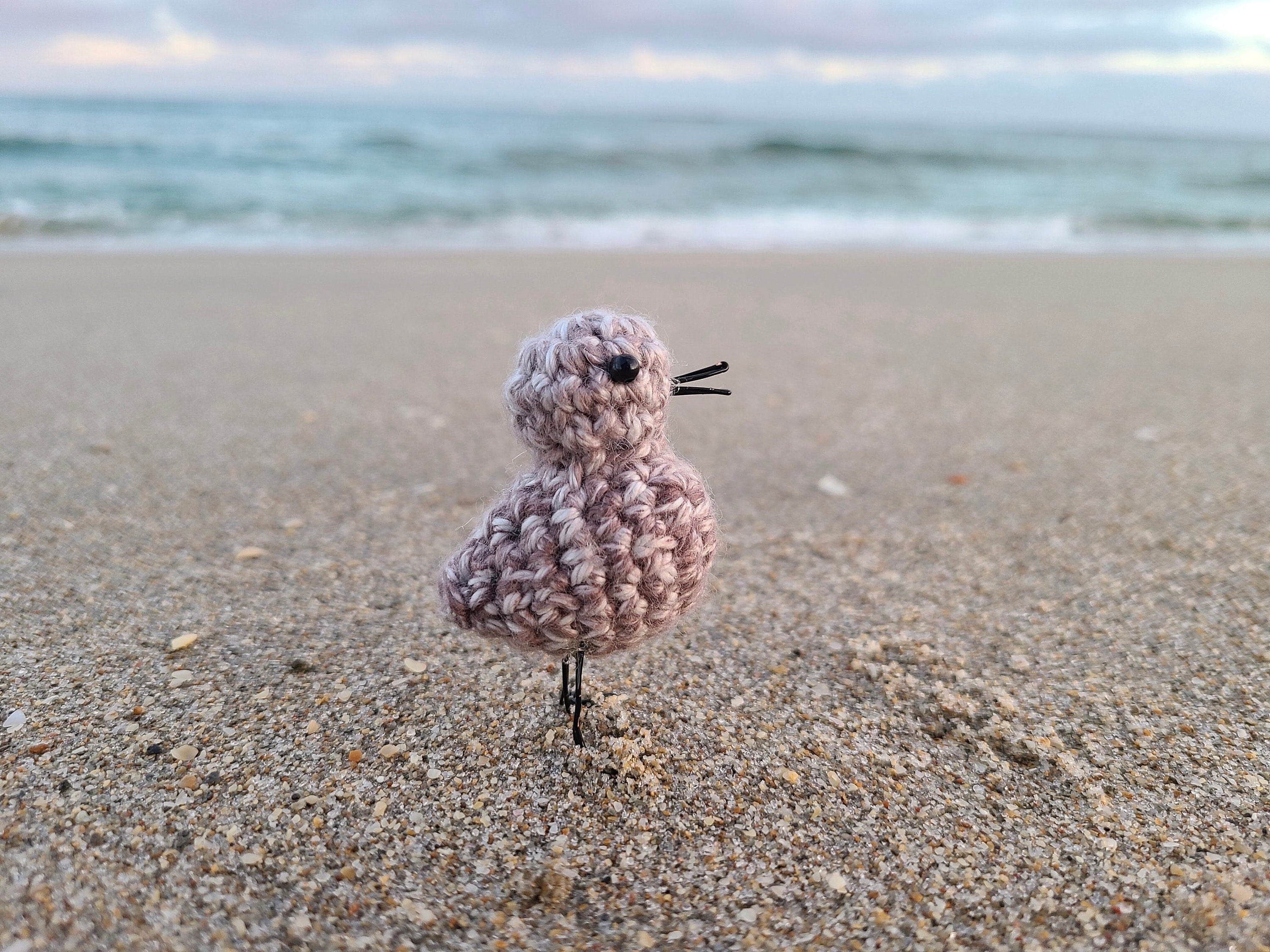 Crochet Friendly Baby Spotted Sandpipers Realistic Crochet - Etsy