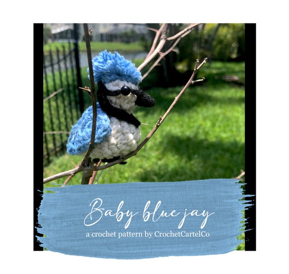 Baby Blue Jay Written Crochet Pattern Crochet Amigurumi | Etsy