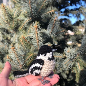 Little Chickadee Written Crochet Pattern | Realistic Bird Crochet ...