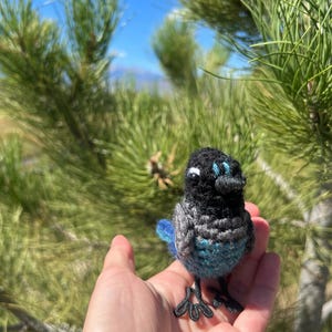 Steller's Jay Written Crochet Pattern | Realistic Bird Crochet Pattern ...