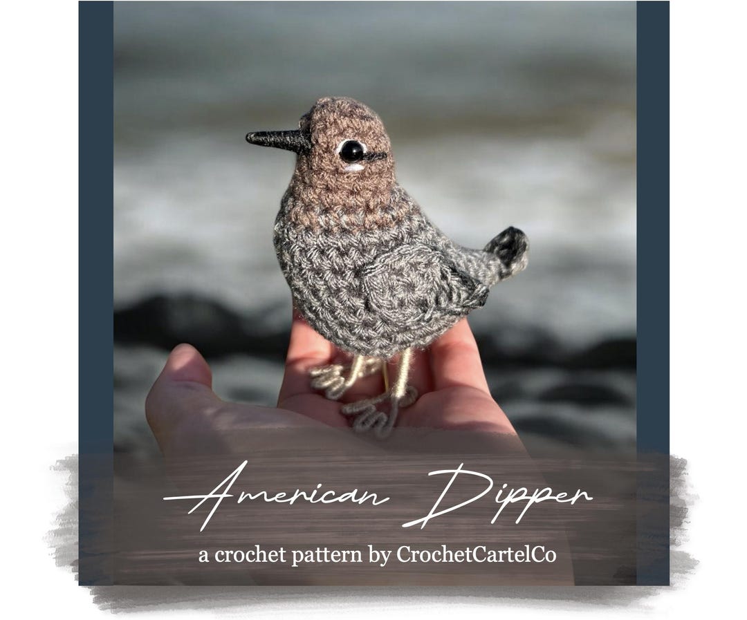 American Dipper Written Crochet Pattern | Realistic Crochet Bird ...