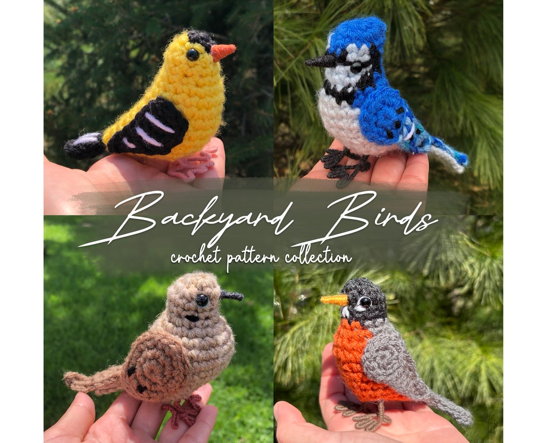 Backyard Birds Crochet Pattern Bundle | 4 Realistic Crochet Birds ...