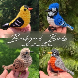 Backyard Birds Crochet Pattern Bundle | 4 Realistic Crochet Birds ...