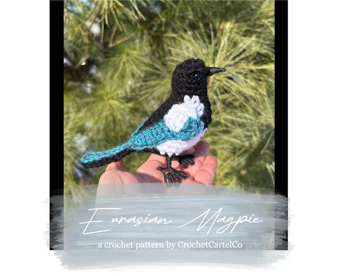 Little Eurasian Magpie Crochet Pattern | Realistic Bird Pattern | Black ...