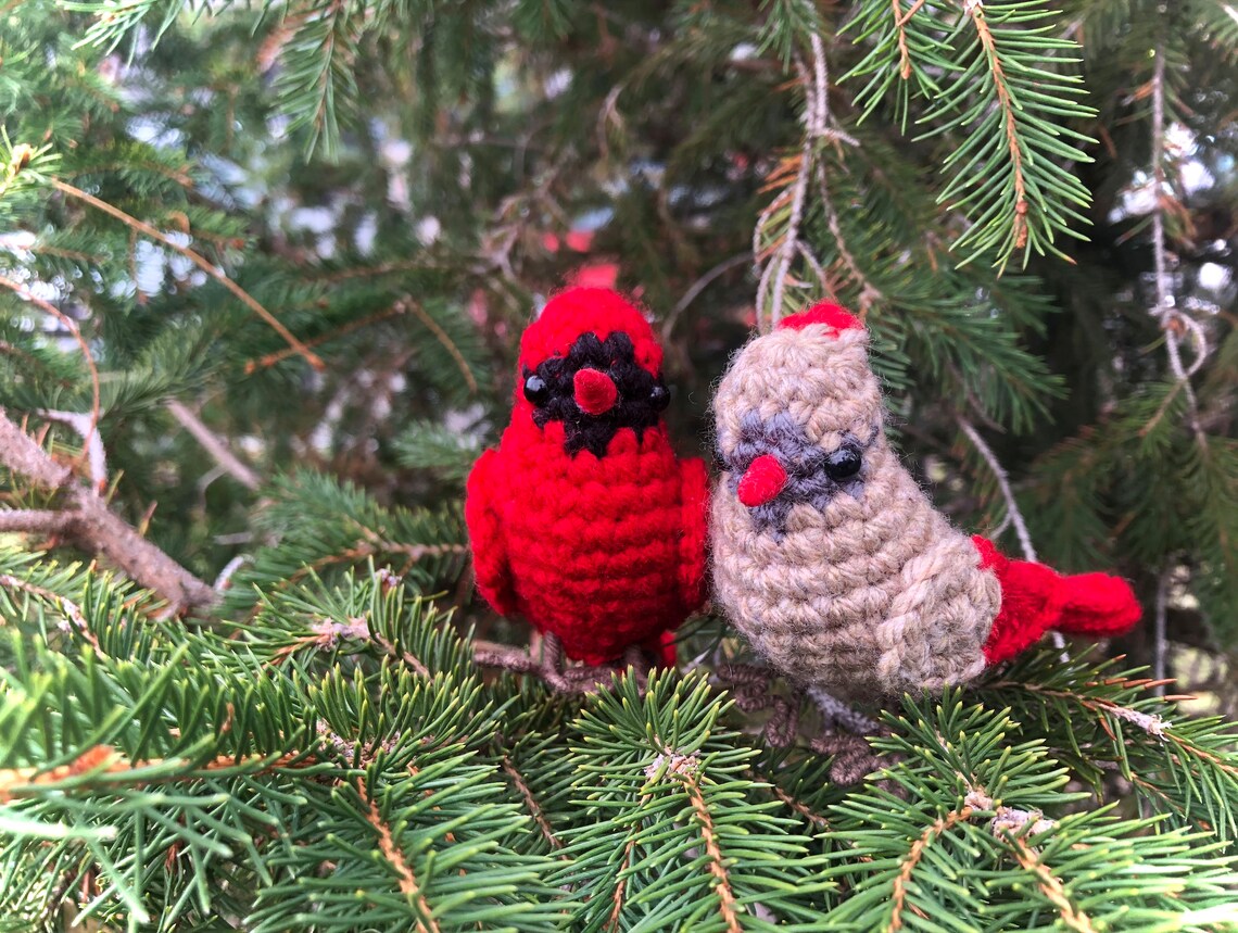 Male Female Cardinal Crochet Pattern Bundle Realistic Bird - Etsy