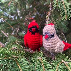 Male + Female Cardinal Crochet Pattern Bundle | Realistic Bird Crochet ...