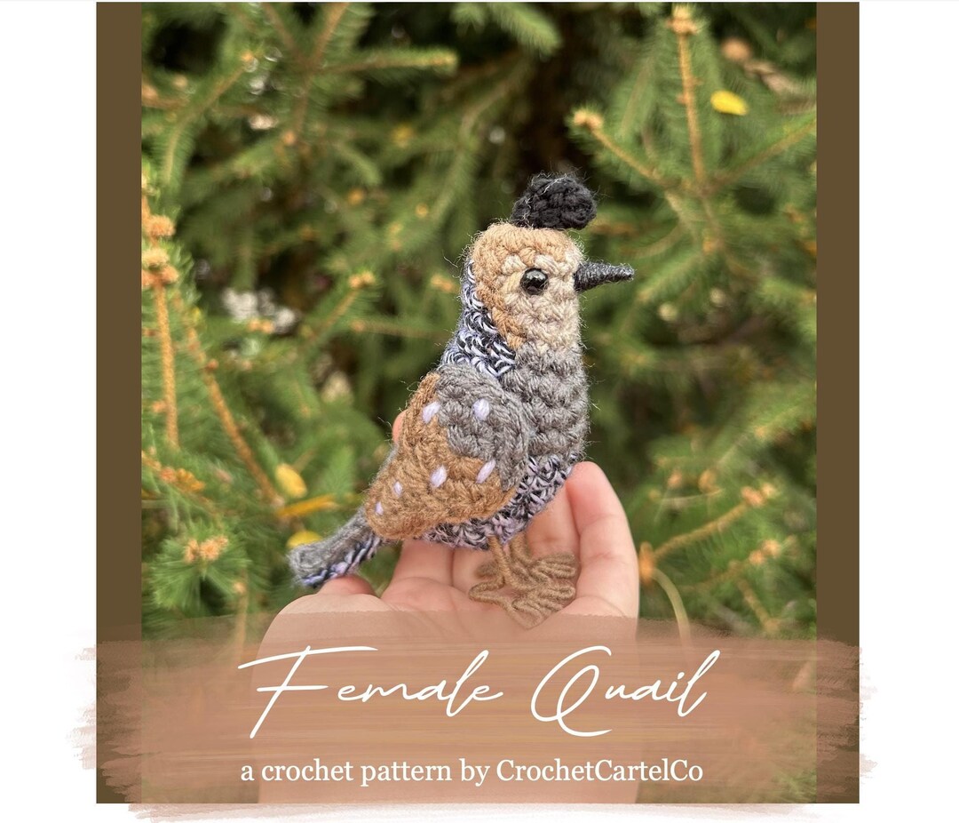 Female California Quail Written Crochet Pattern | Crochet Bird Amigurumi | Crochet Quail Pattern ...