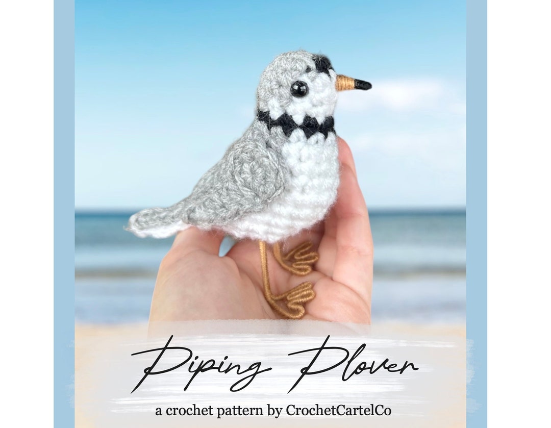 Piping Plover Written Crochet Pattern | Realistic Crochet Amigurumi ...