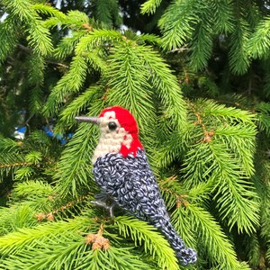 Red-bellied Woodpecker Written Crochet Pattern | Realistic Garden Bird ...