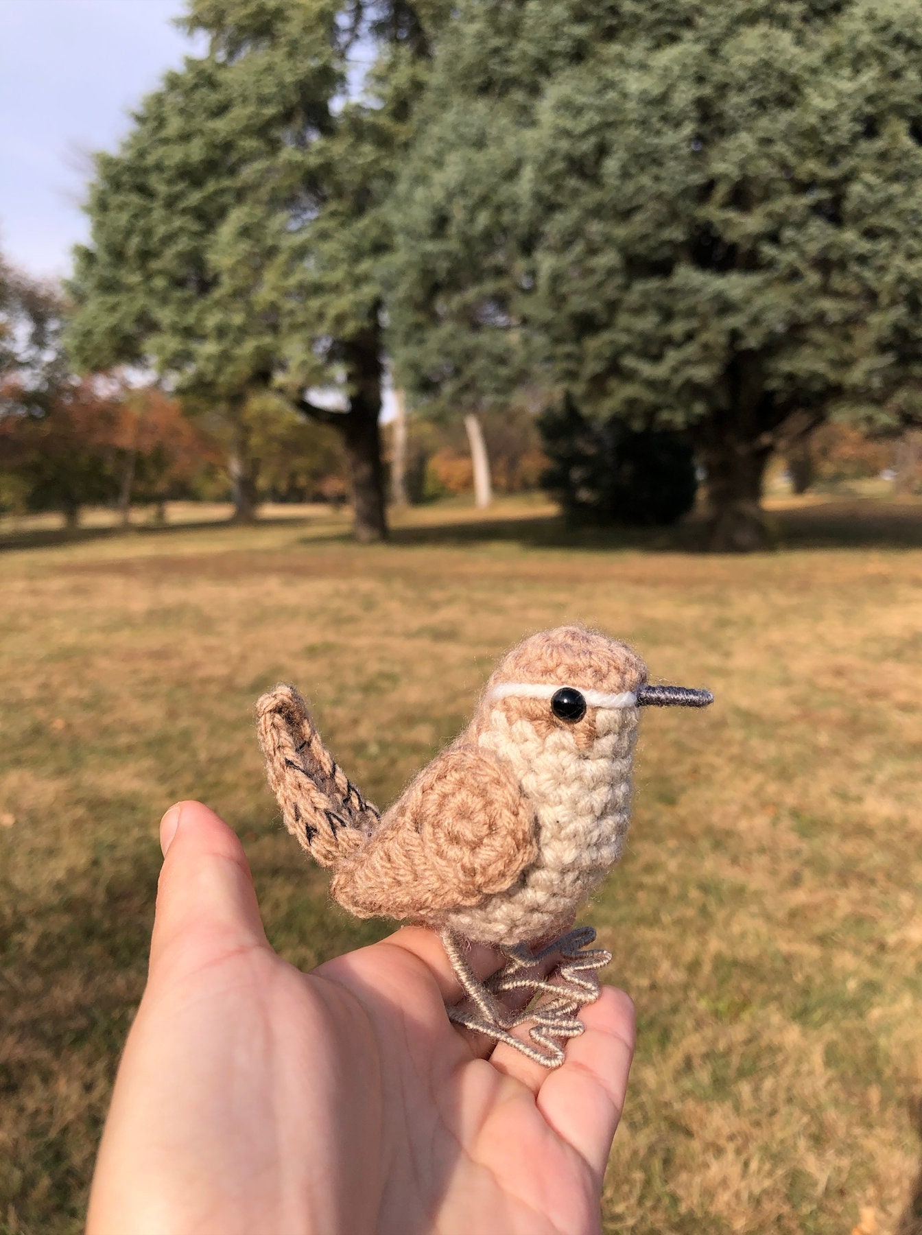 Little Wren Written Crochet Pattern | Realistic Bird Crochet Pattern ...