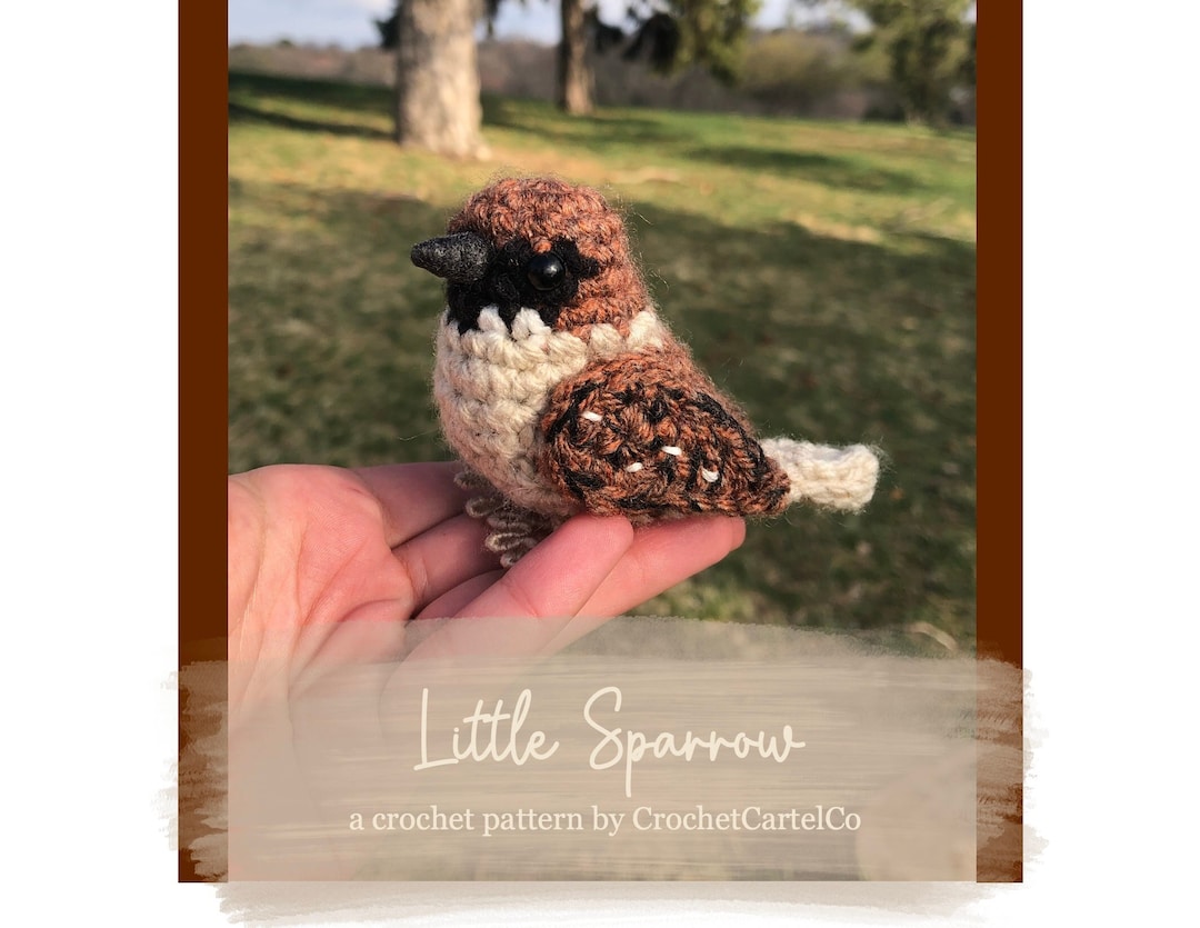 Little Sparrow Written Crochet Pattern | Realistic Garden Bird Crochet ...