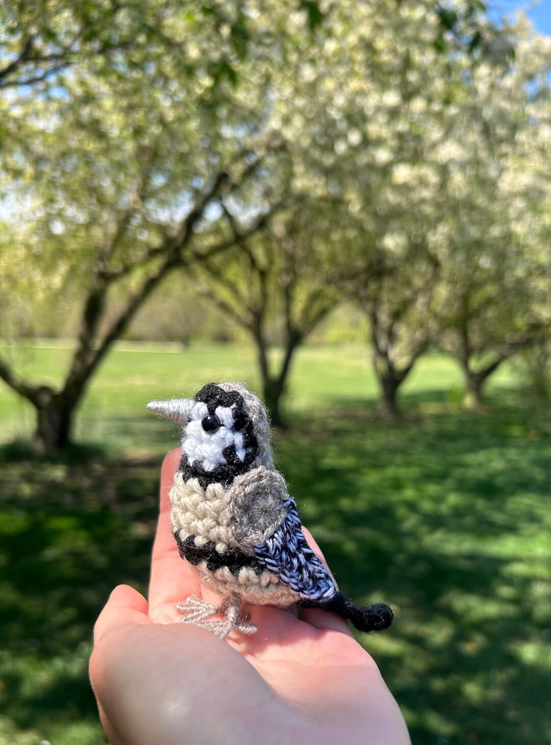 Crochet Little Owl Finch | Crochet Amigurumi Realistic Bird Figure ...