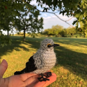 Crochet Little Mockingbird | Bird Crochet Amigurumi | Crochet Plush Toy ...