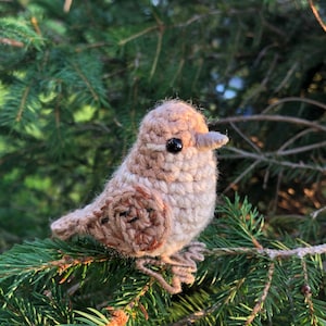 Male + Female Sparrow Crochet Pattern Bundle | Realistic Garden Bird ...
